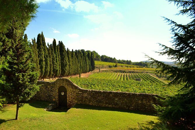 From Barcelona: El Penedès Hike & Wines - Key Points