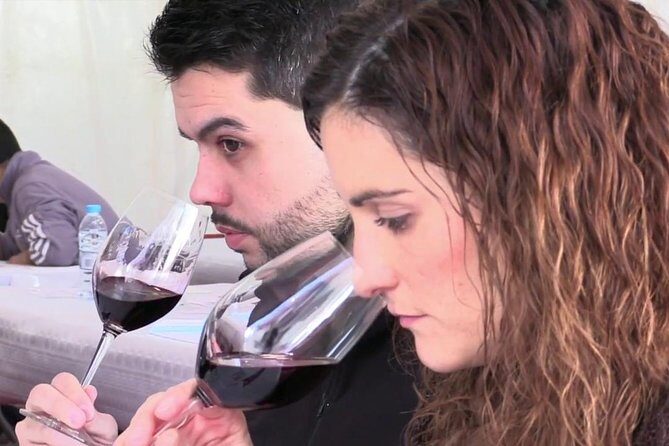 From Barcelona: El Penedès Hike & Wines - Why This Tour Delivers Value