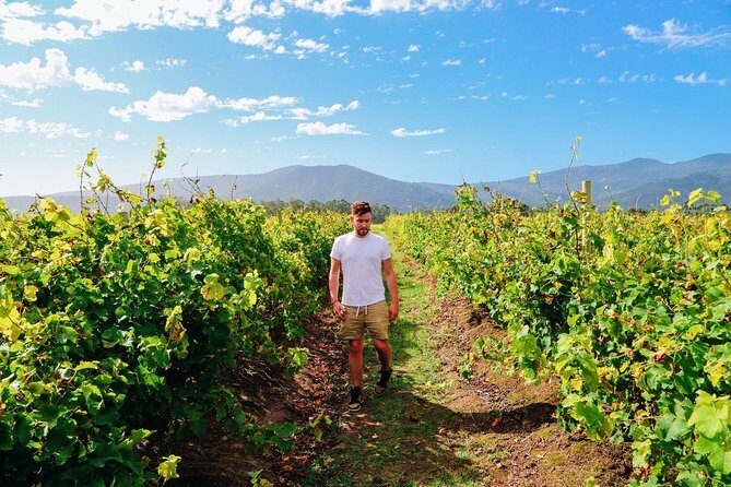 From Barcelona: El Penedès Hike & Wines - Frequently Asked Questions