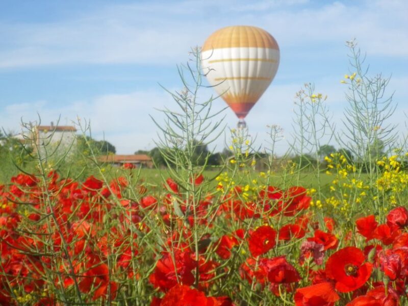 From Barcelona: Half-Day Hot Air Balloon Flight Ticket - The Practical Details and What They Mean for You