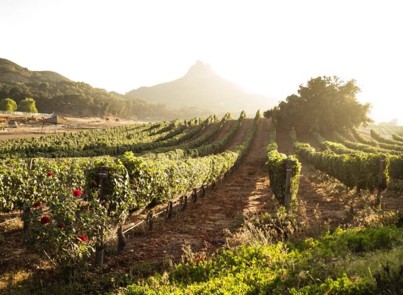 From Barcelona: Half-Day Trip to Montserrat Mountain - FAQ