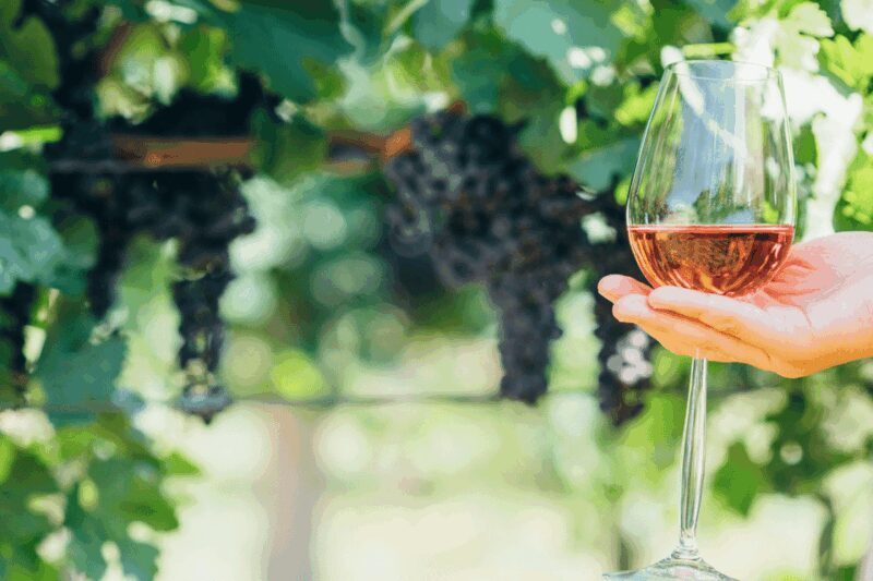 From Barcelona: Kosher Jewish Wine Tour - Key Points
