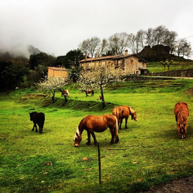 From Barcelona: Medieval Villages and Volcanic Hiking Tour - Key Points