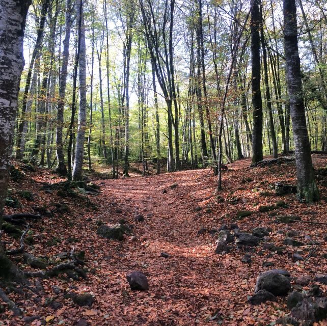 From Barcelona: Medieval Villages and Volcanic Hiking Tour - Frequently Asked Questions