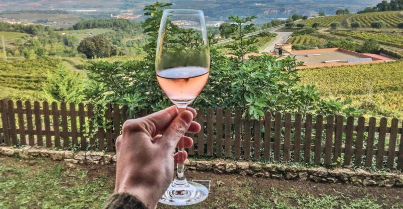 From Barcelona: Montserrat Lunch & Wine Tasting in Vineyard - The Journey Begins: Pickup and Transportation