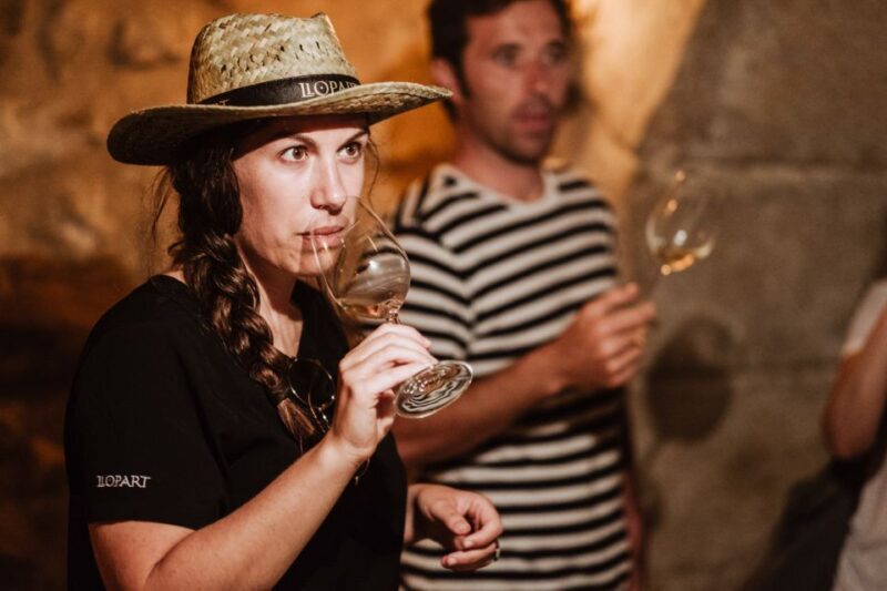 From Barcelona: Montserrat Lunch & Wine Tasting in Vineyard - Practicalities and Pointers