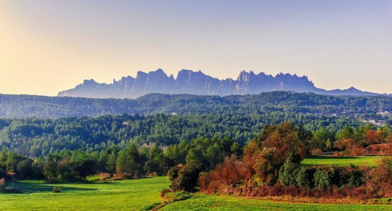 From Barcelona: Montserrat Mountain Hike and Monastery Tour - Local Catalan Snacks and Market Time