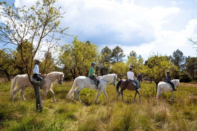 From Barcelona: Montserrat Walking and Horseback Riding Tour - The Intangible Benefits: Why This Tour Matters