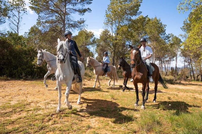 From Barcelona: Montserrat Walking and Horseback Riding Tour - Final Thoughts
