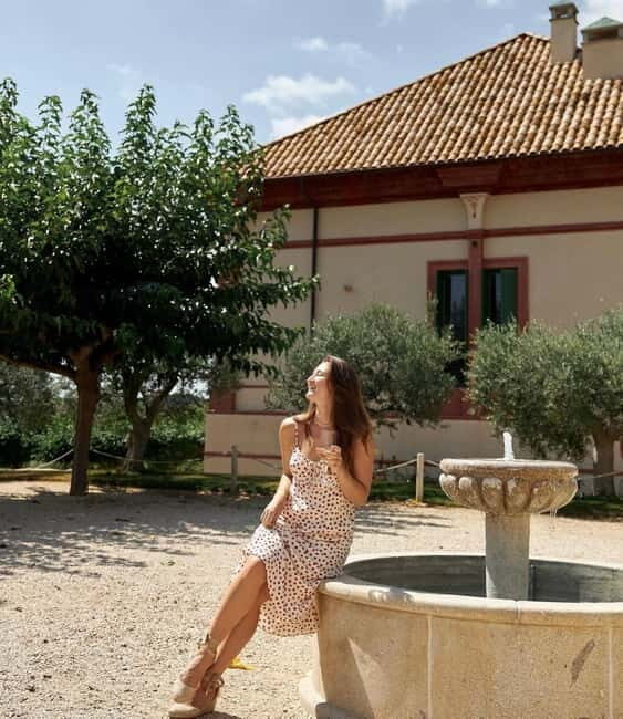From Barcelona Premium Wine Tasting at Boutique Winery +Food - Who Will Love This Tour?