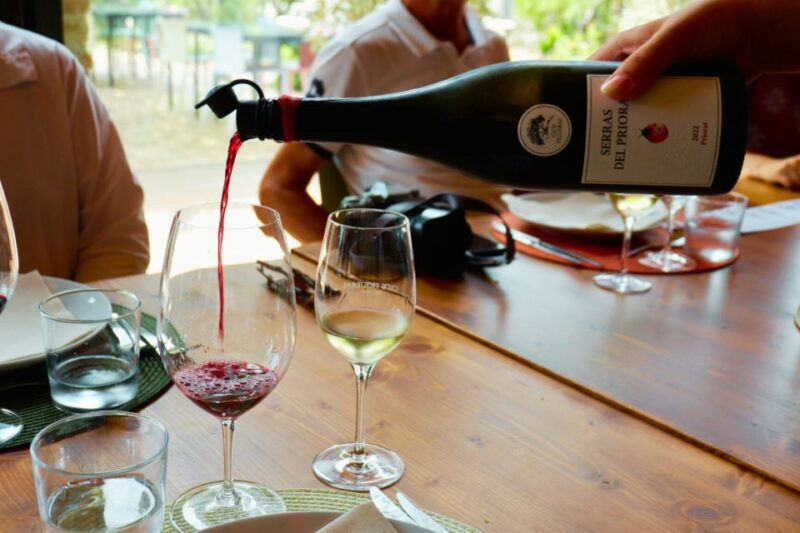 From Barcelona: Priorat's Exclusive Cellars, Wines & Nature - Key Points