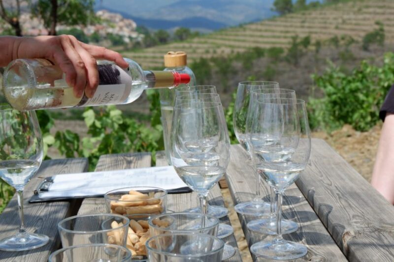 From Barcelona: Priorat's Exclusive Cellars, Wines & Nature - Setting the Scene: What This Tour Promises