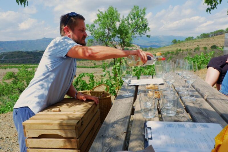 From Barcelona: Priorat's Exclusive Cellars, Wines & Nature - The Culinary Aspect: A Gourmet Lunch