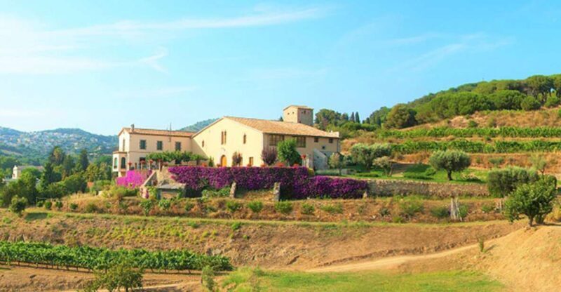 From Barcelona: Private Alella Wine Tour by Electric Bike - A Deep Dive into the Experience