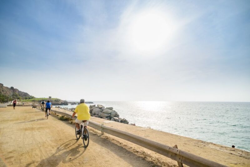 From Barcelona: Private Alella Wine Tour by Electric Bike - Who Will Love This Tour?