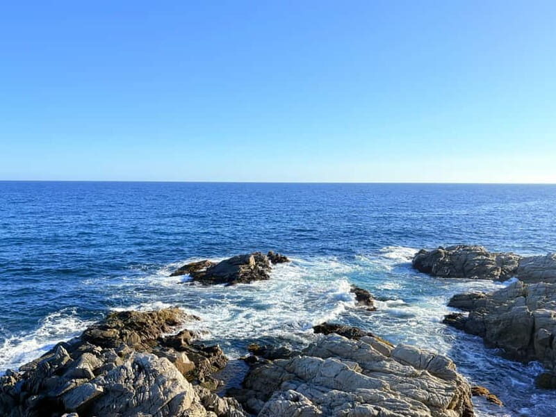 From Barcelona: Private Costa Brava Guided Tour - Key Points