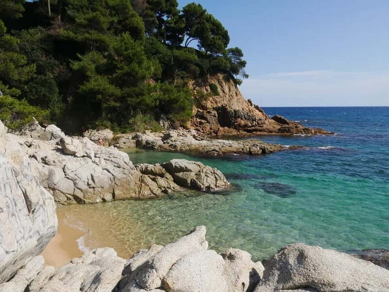 From Barcelona: Private Costa Brava Guided Tour - A Solid Choice for a Coastal Escape