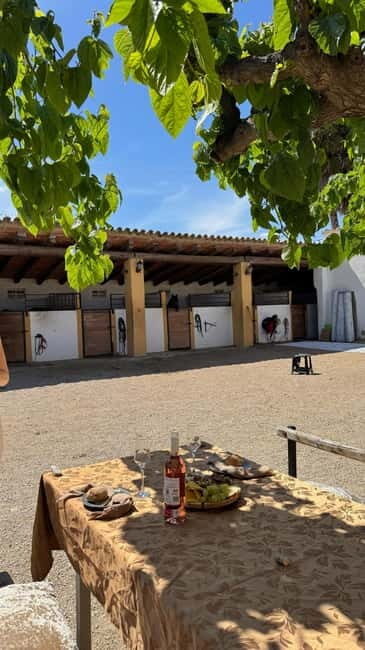 From Barcelona: PRIVATE Horseback Ride + Tapas + Picnic - Who Will Love This Tour?