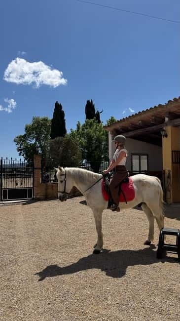 From Barcelona: PRIVATE Horseback Ride + Tapas + Picnic - The Sum Up
