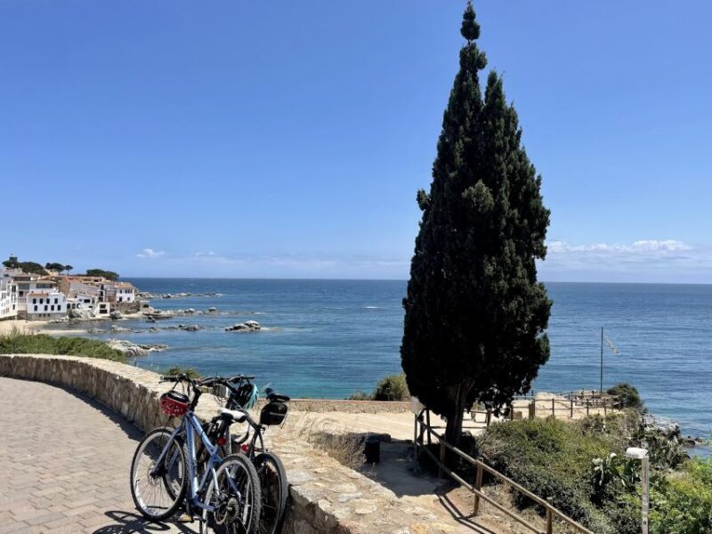From Barcelona: Pvt Costa Brava Villages Day Trip with Lunch - An Authentic Day in Costa Brava: A Detailed Journey