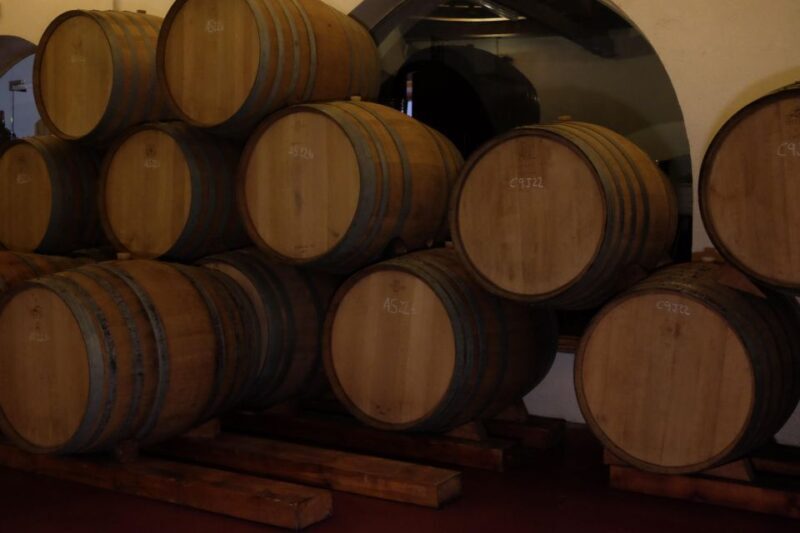From Barcelona: Pvt Penedès Wine & Cava Tastings with Lunch - Key Points