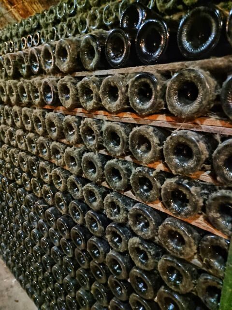 From Barcelona: Pvt Penedès Wine & Cava Tastings with Lunch - The Lunch Experience