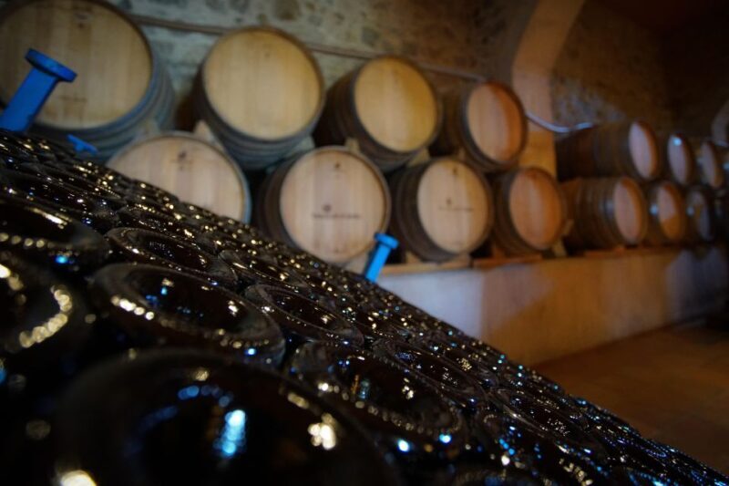 From Barcelona: Sailing and Wine Tasting Experience - An Overview of the Experience