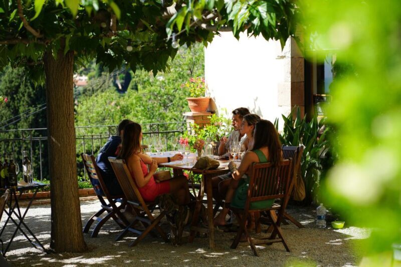 From Barcelona: Sailing and Wine Tasting Experience - What’s Included and What to Consider