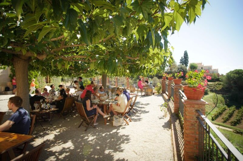From Barcelona: Sailing and Wine Tasting Experience - FAQ