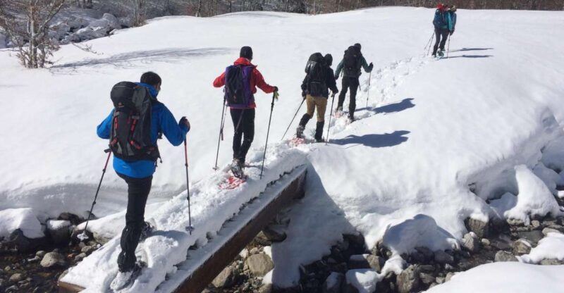From Barcelona: Snowshoeing in the Pyrenees - Key Points