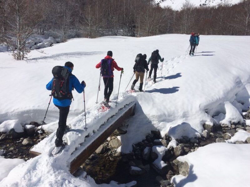 From Barcelona: Snowshoeing in the Pyrenees - Introduction to the Tour