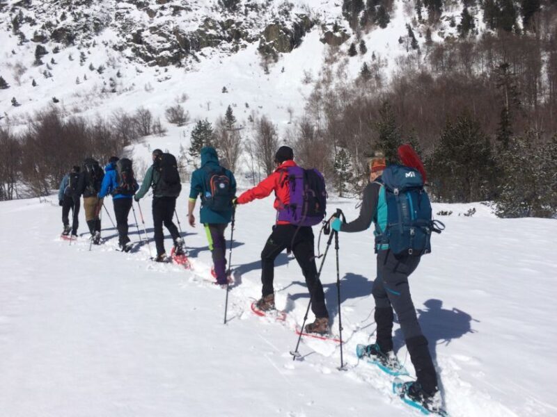 From Barcelona: Snowshoeing in the Pyrenees - Why the Price Is Justified