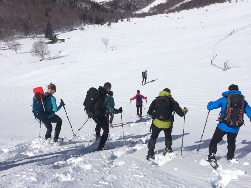 From Barcelona: Snowshoeing in the Pyrenees - The Itinerary in Detail