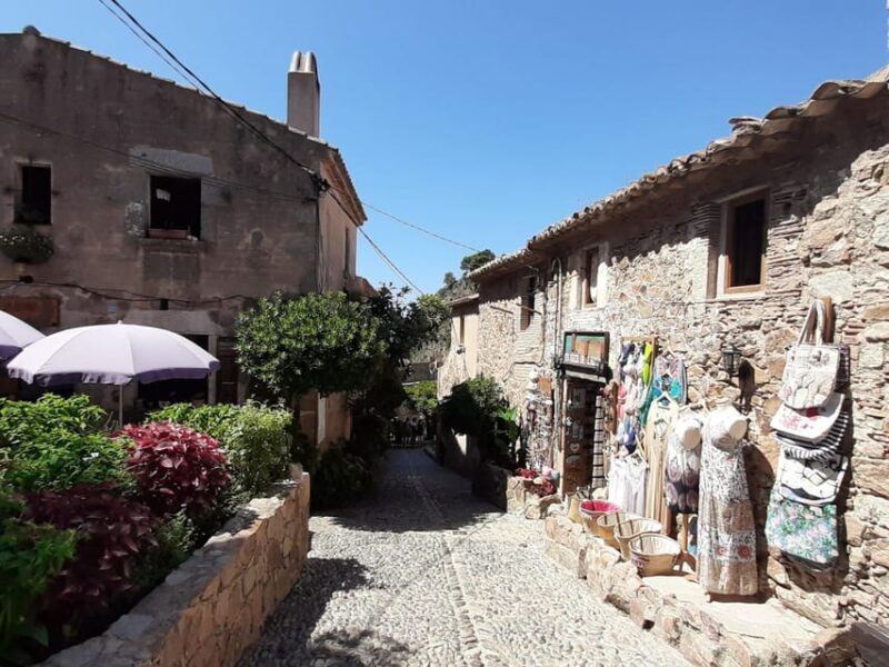 From Barcelona: Tossa de Mar Day Tour with Beach Time - Who Should Consider This Tour?