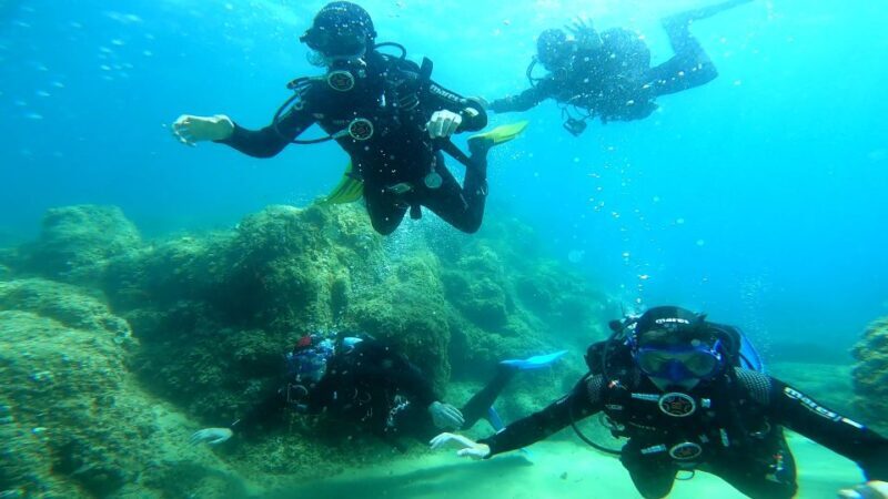 From Barcelona: Tossa de Mar Scuba Diving and 3-Course Meal - What Makes This Tour Stand Out
