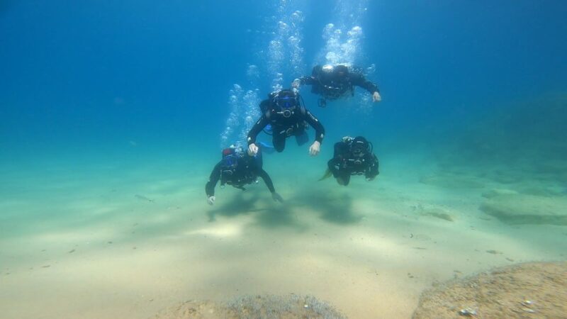From Barcelona: Tossa de Mar Scuba Diving and 3-Course Meal - Who Will Love This Tour?