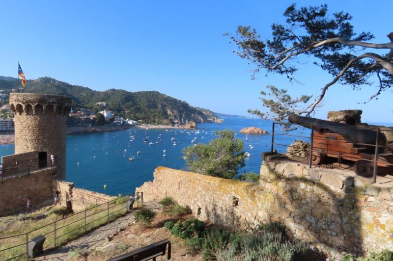 From Barcelona: Tossa de Mar Scuba Diving and 3-Course Meal - Final thoughts: Is this tour worth it?