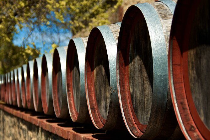 From Barcelona: Wine Cellar Visit in Penedes with Tasting - Key Points