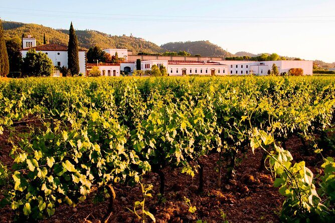 From Barcelona: Wine Cellar Visit in Penedes with Tasting - Wrap-up: Is It Worth It?