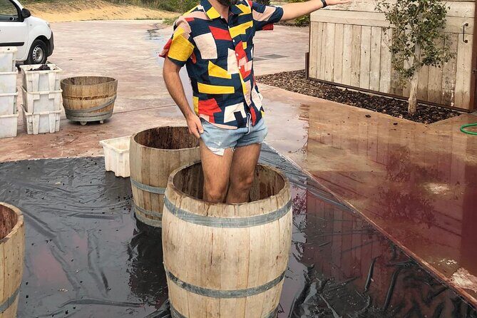 From Barcelona Wine Tasting in 2 Priorat Wineries and Food - The Sum Up