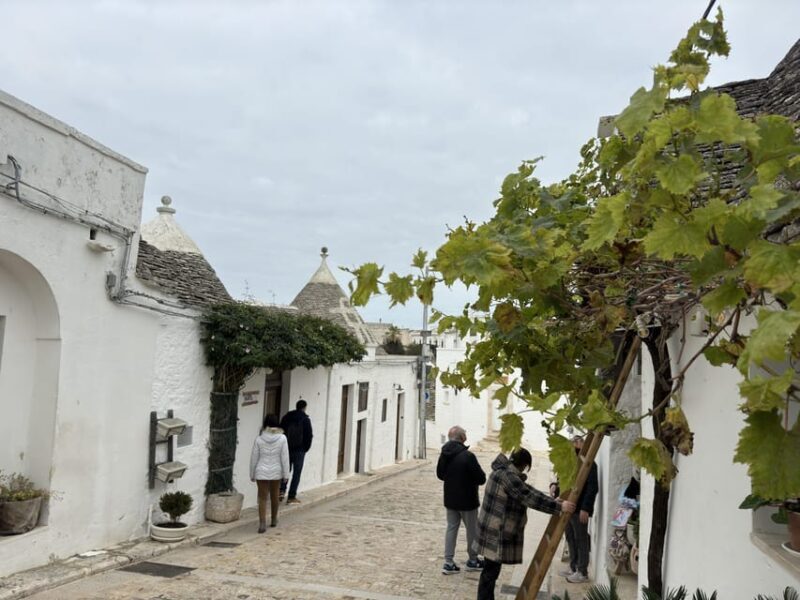 From Bari: Alberobello Half-Day Trip with Guided Tour - Authentic Experience vs. Independence
