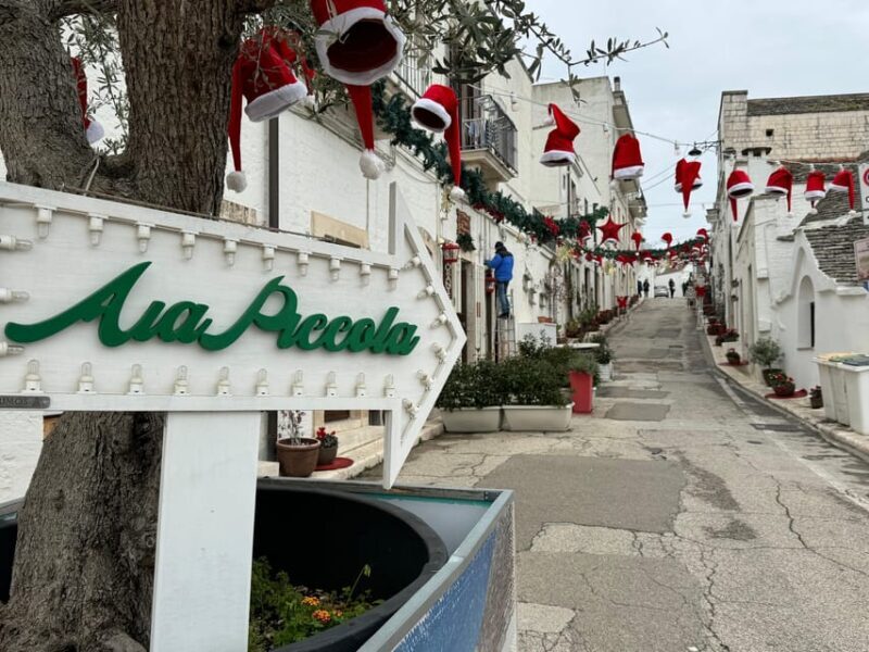 From Bari: Alberobello Half-Day Trip with Guided Tour - Final words