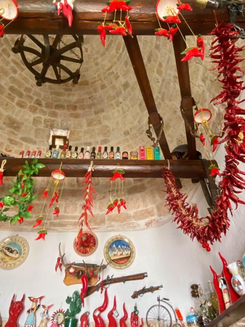 From Bari: Full-day tour to Polignano and Alberobello - Who Will Love This Tour