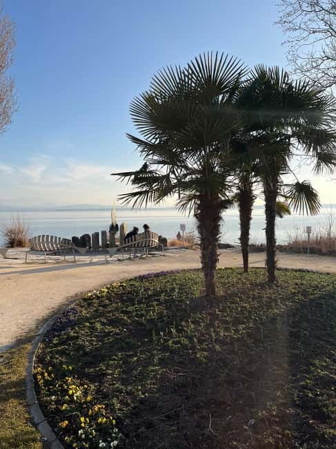 From Basel: 4 Countries and Lake Bodensee Private Tour - Final Thoughts