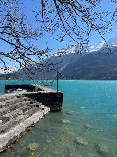 From Basel: Alps, Waterfalls and Lakes Private Tour - Value & Practical Considerations