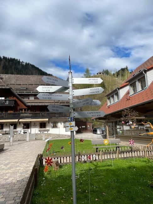 From Basel: Black Forest, Waterfall & Lakes Private Tour - Key Points