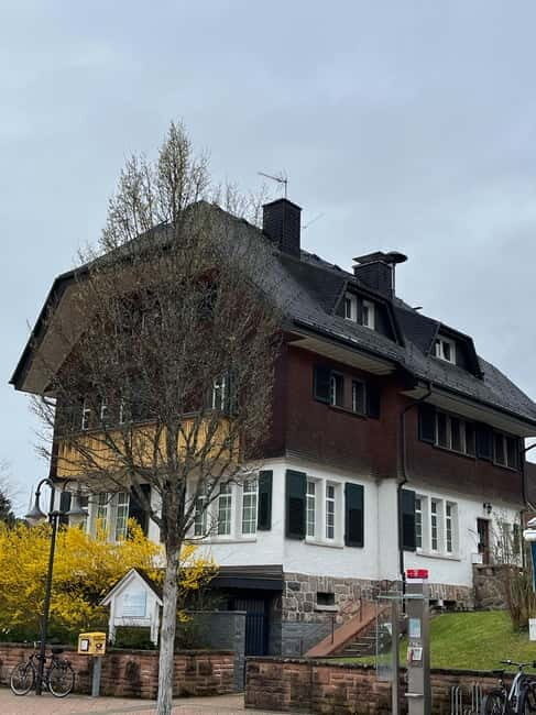 From Basel: Black Forest, Waterfall & Lakes Private Tour - Details About the Itinerary