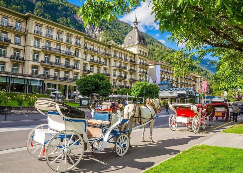 From Basel: Lucerne & Interlaken Day Trip by Panoramic Train - Who Would Love This Tour?
