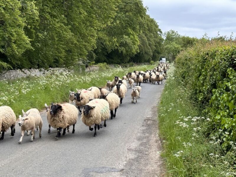 From Bath: Cotswolds Private Day Tour with Pickup - Final Thoughts