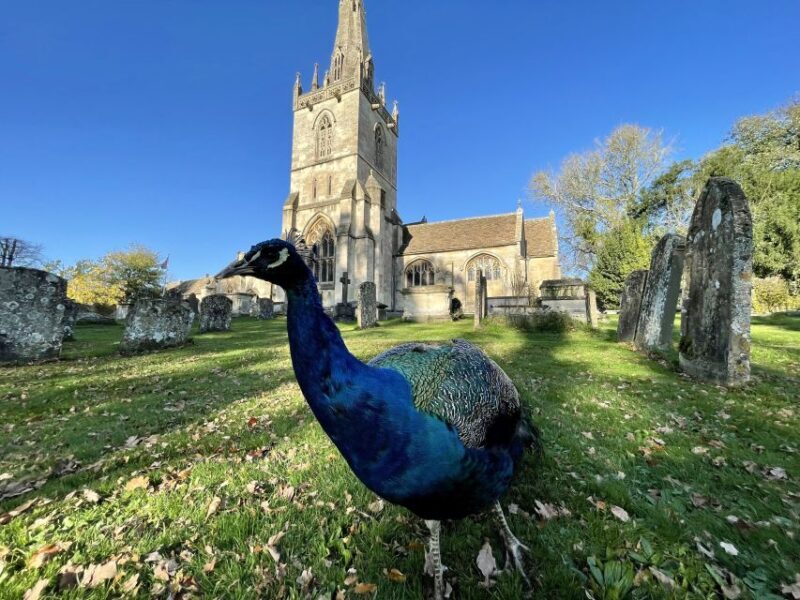 From Bath: Private Tour to Serene Cotswolds with Pickup - How the Tour Scores for Value and Experience